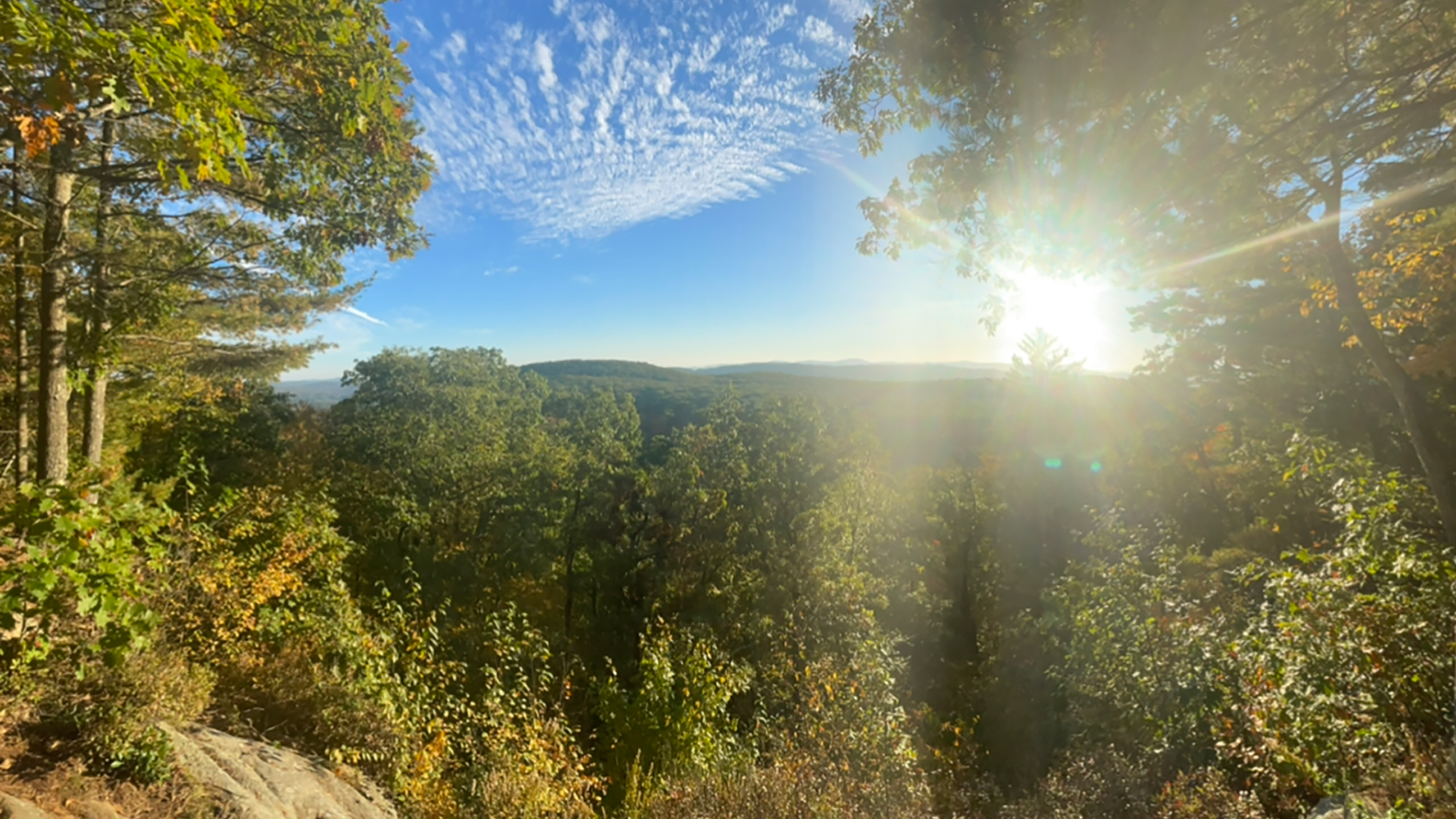 Addiction Treatment & Recovery - Commonwealth Collaborative